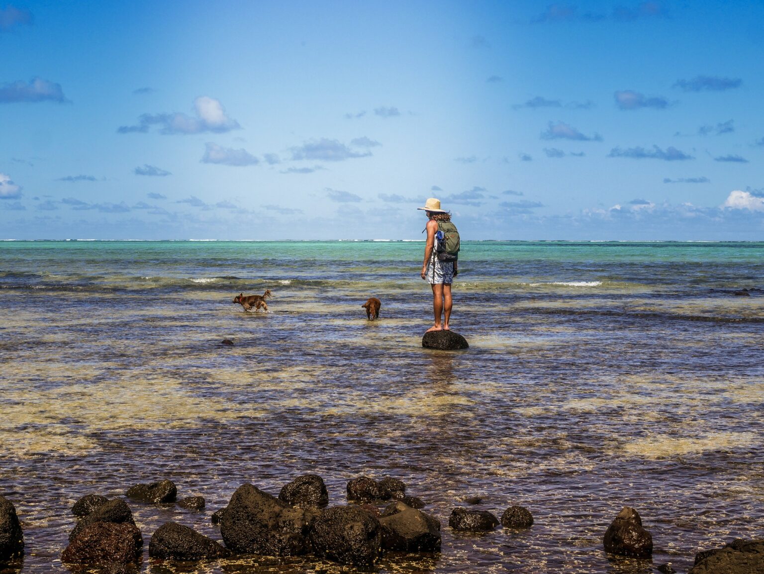 Rodrigues, 10 jours sur un petit paradis - Ze Caillou